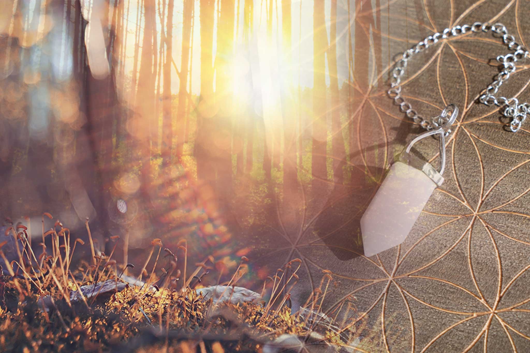 What is dowsing and why it’s more important than ever - Charisse Sisou